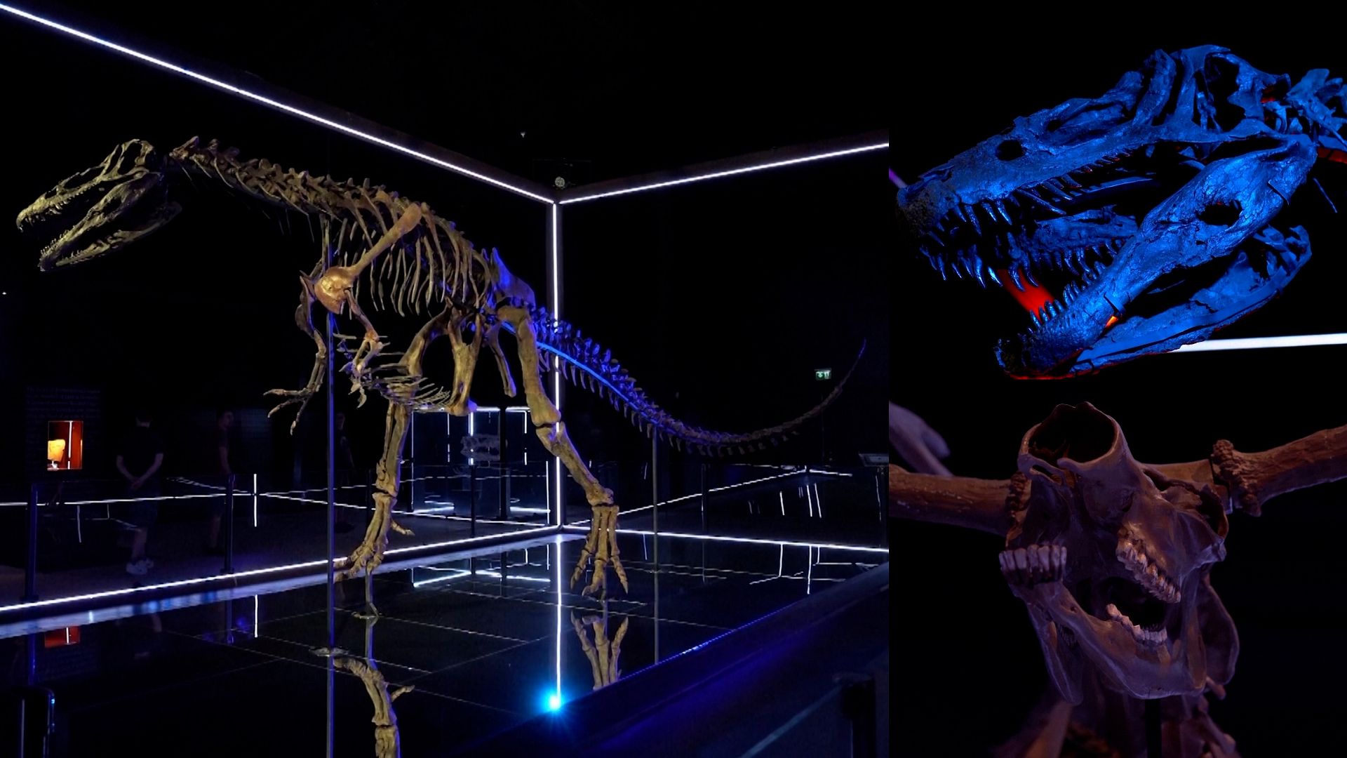 Video. Jurassic safari park: Denmark opens its first dinosaur museum ...