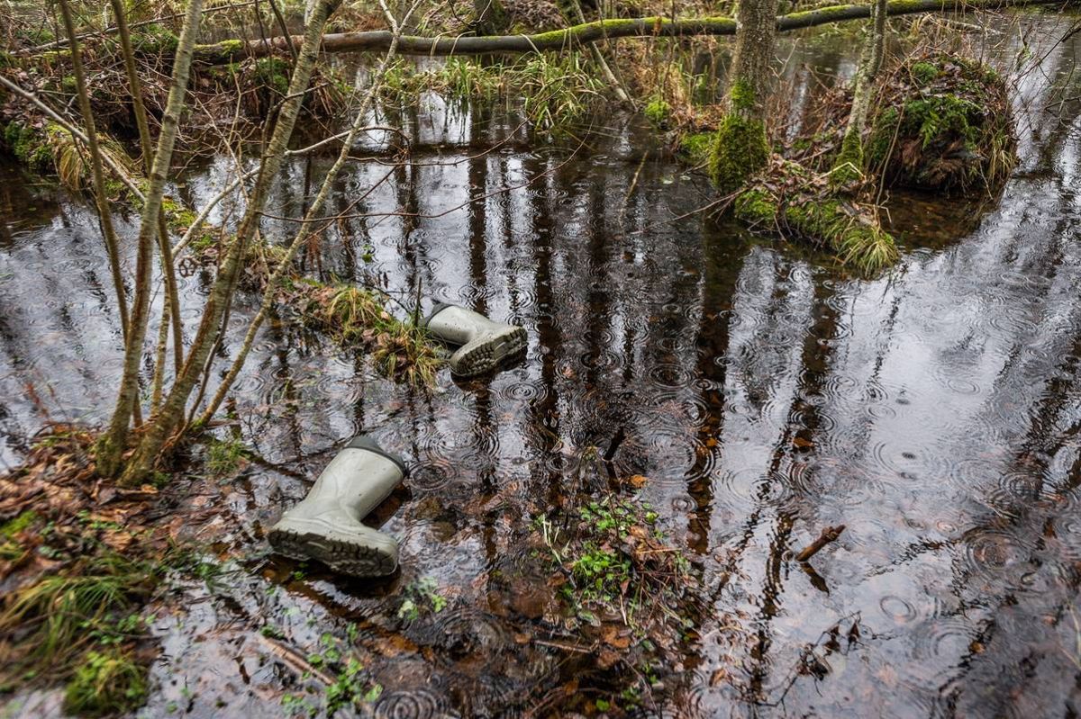 Hundreds of migrants fight for survival on the Polish-Belarusian border ...