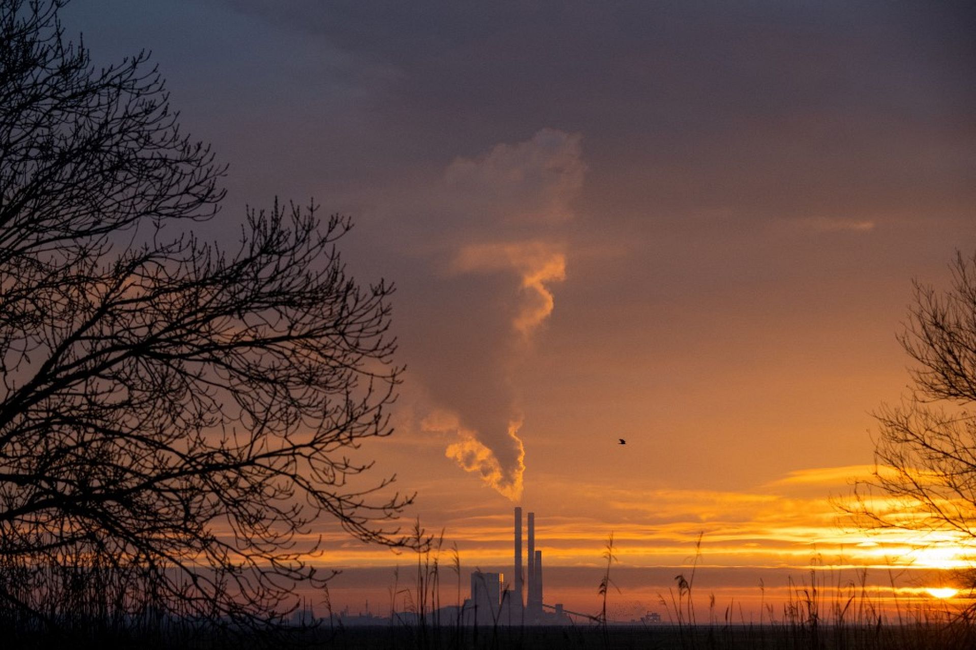 France is unprepared for the ‘serious impacts’ of climate change ...