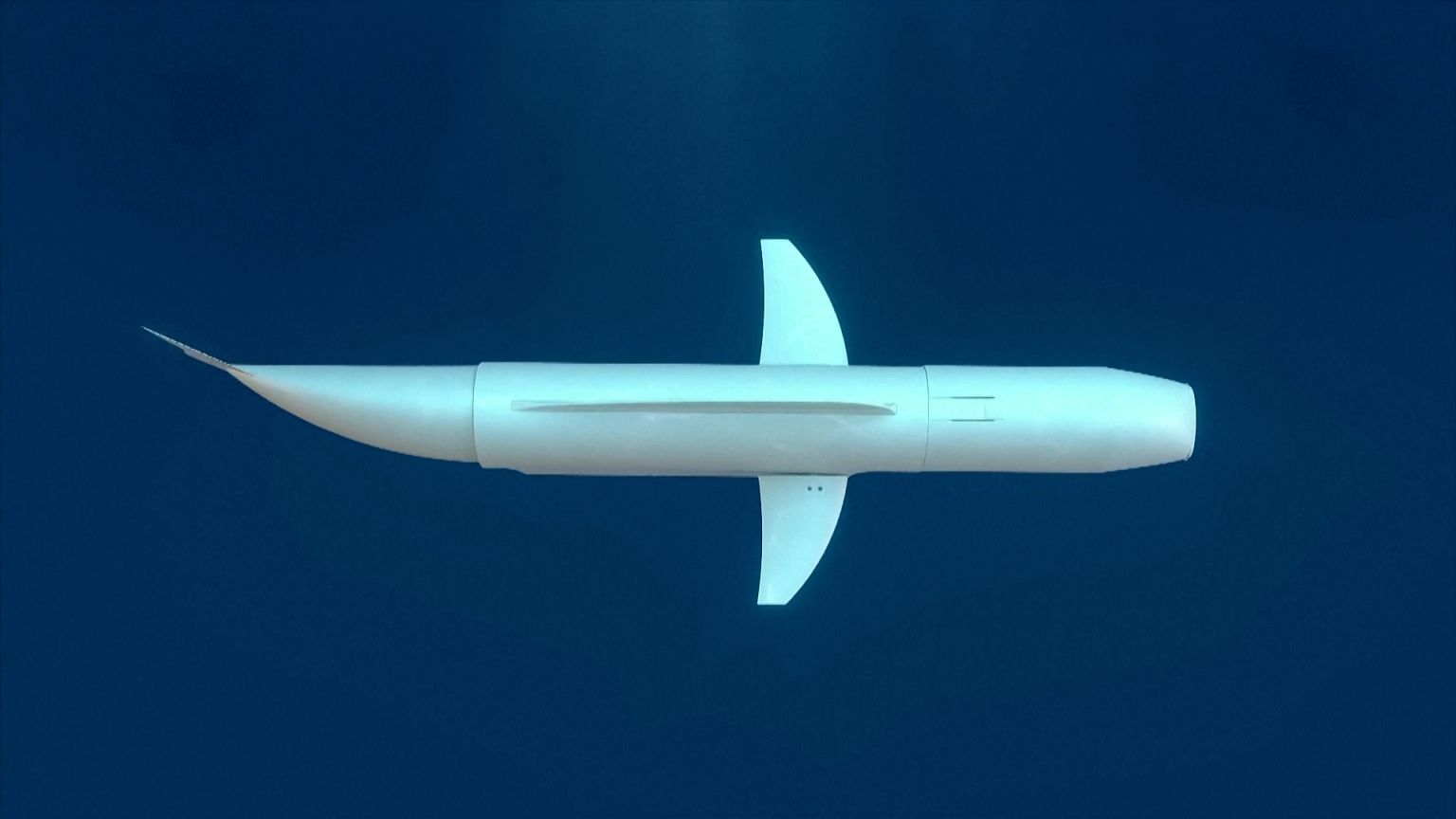 Belle, the inobtrusive AI robot fish, is helping researchers to protect ...