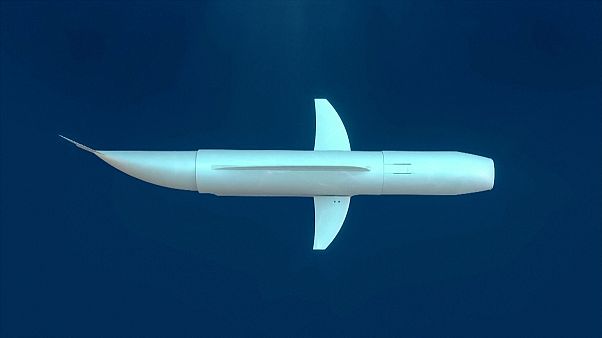 Belle, the inobtrusive AI robot fish, is helping researchers to protect ...