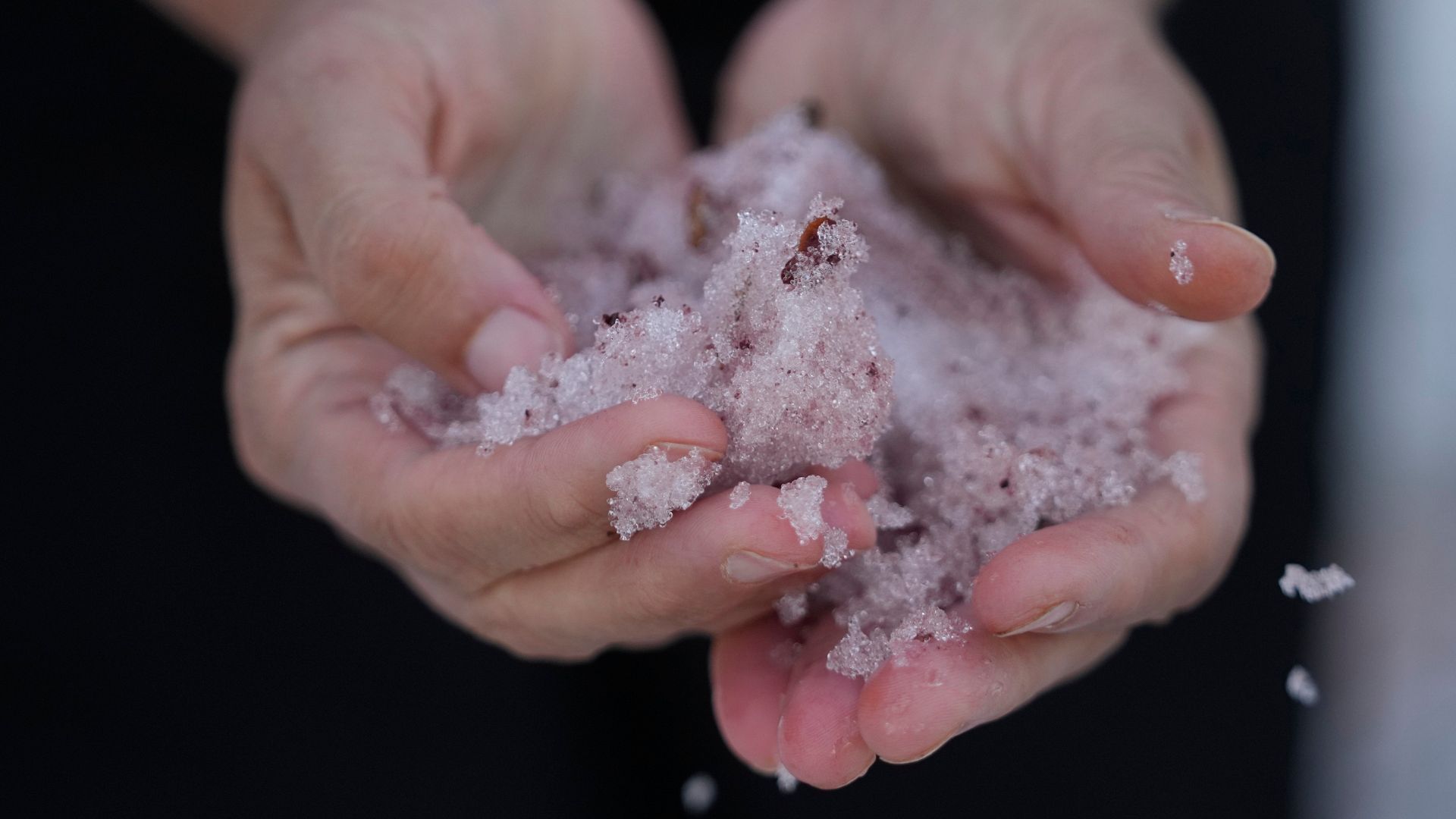 ‘Watermelon snow’: Is Utah’s pink snow linked to climate change? | Euronews
