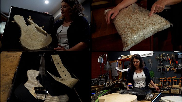 Video. A mushroom guitar? Really? How to make music from mycelium ...