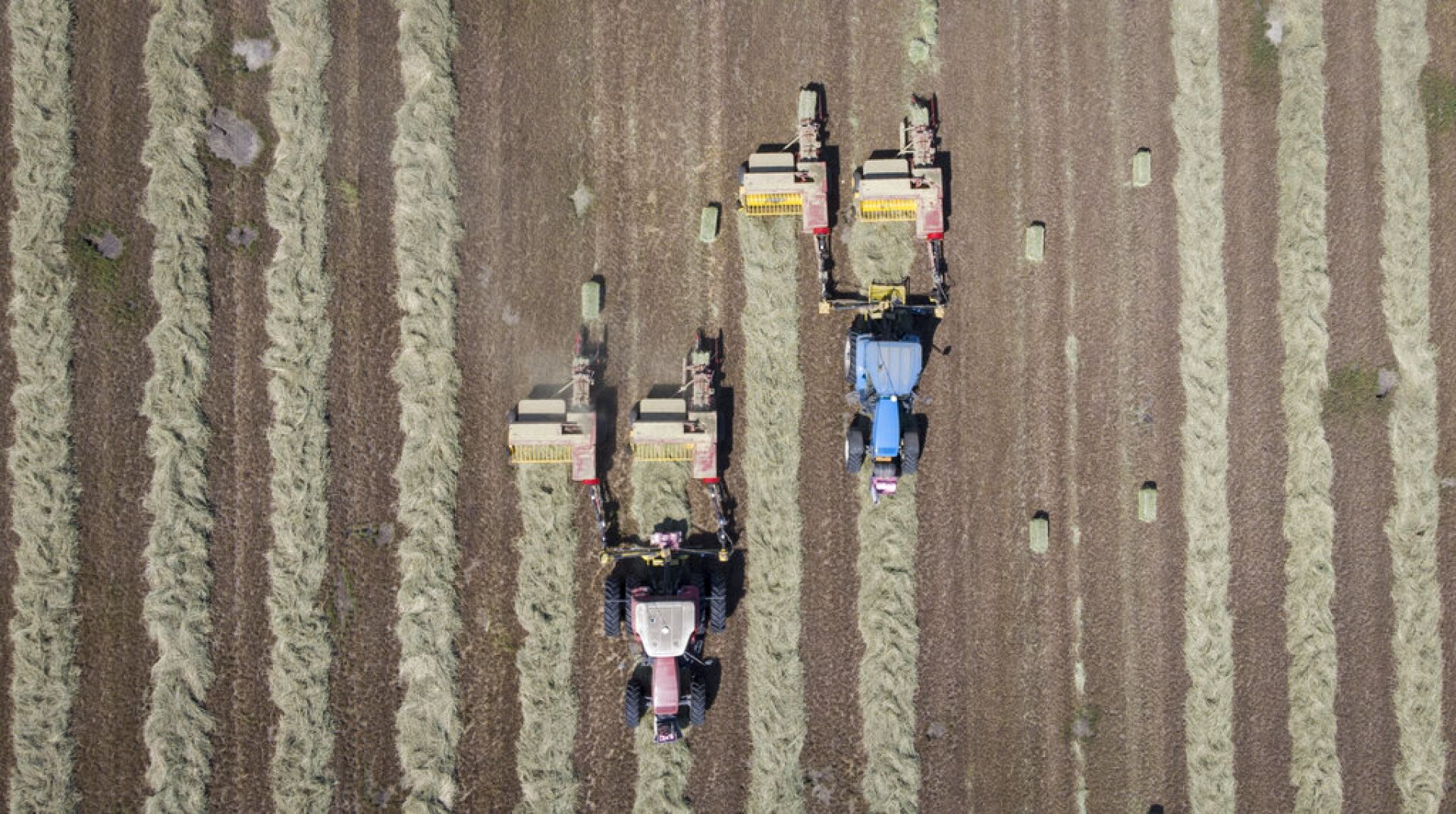 How can we transform the global food system to preserve our planet ...