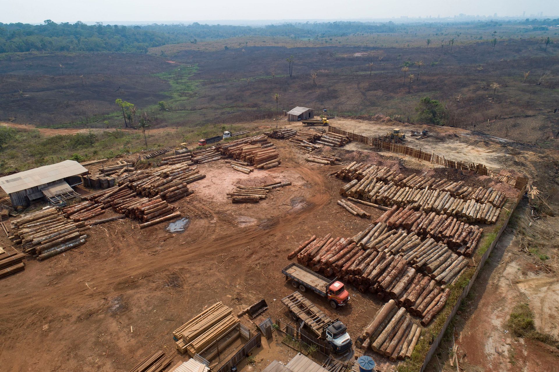 Brazil Amazon deforestation drops 34% under Lula, but El Niño is ...
