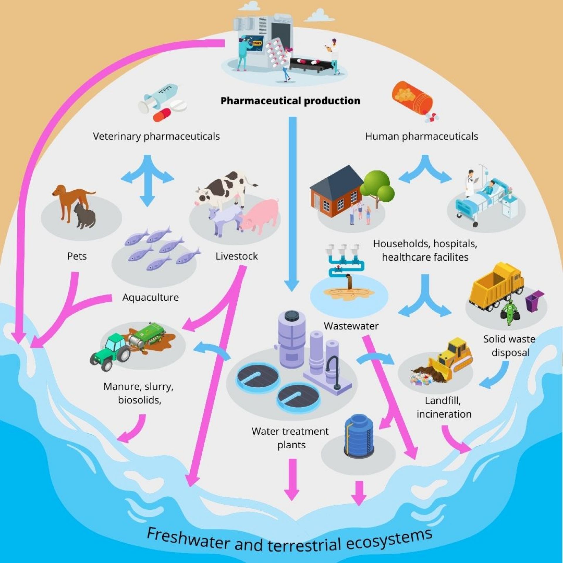 How do medicines end up in our water and can we stop it? | Euronews