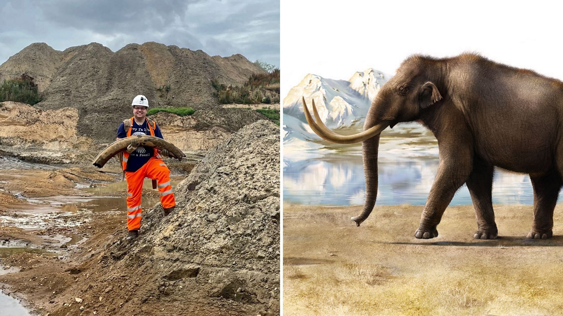 Fossil hunters unearth incredible 400,000-year-old mammoth tusk in ...