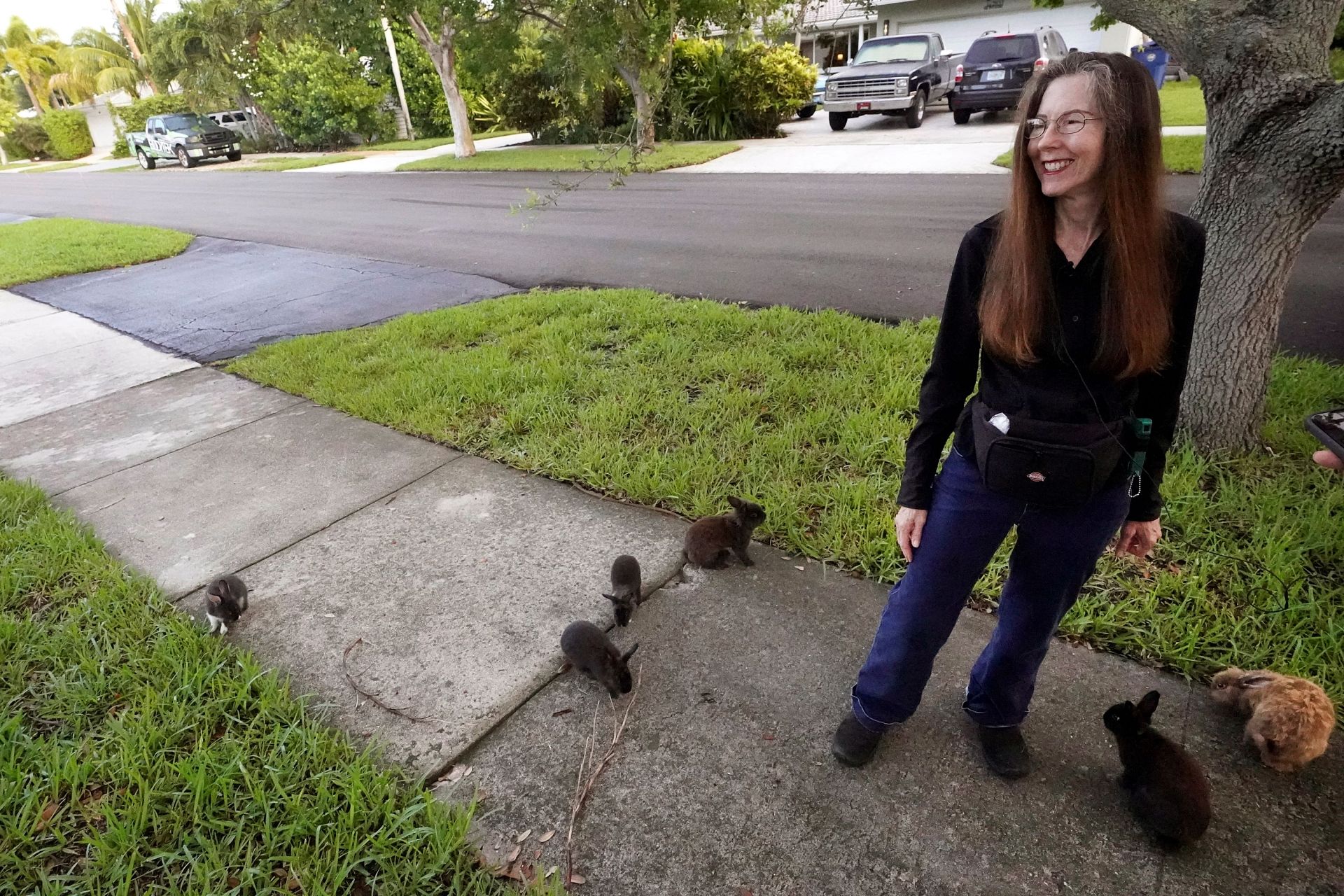 Hopping mad: Why are Florida residents fed up with these fluffy rabbits ...
