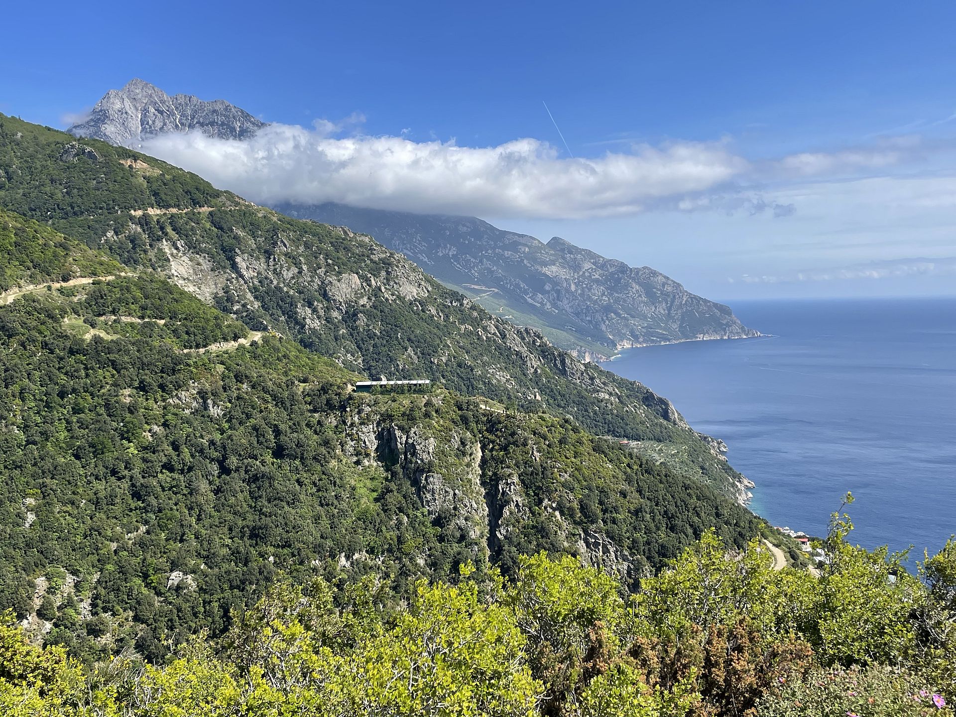 Στα μονοπάτια του Αγίου Όρους | Euronews