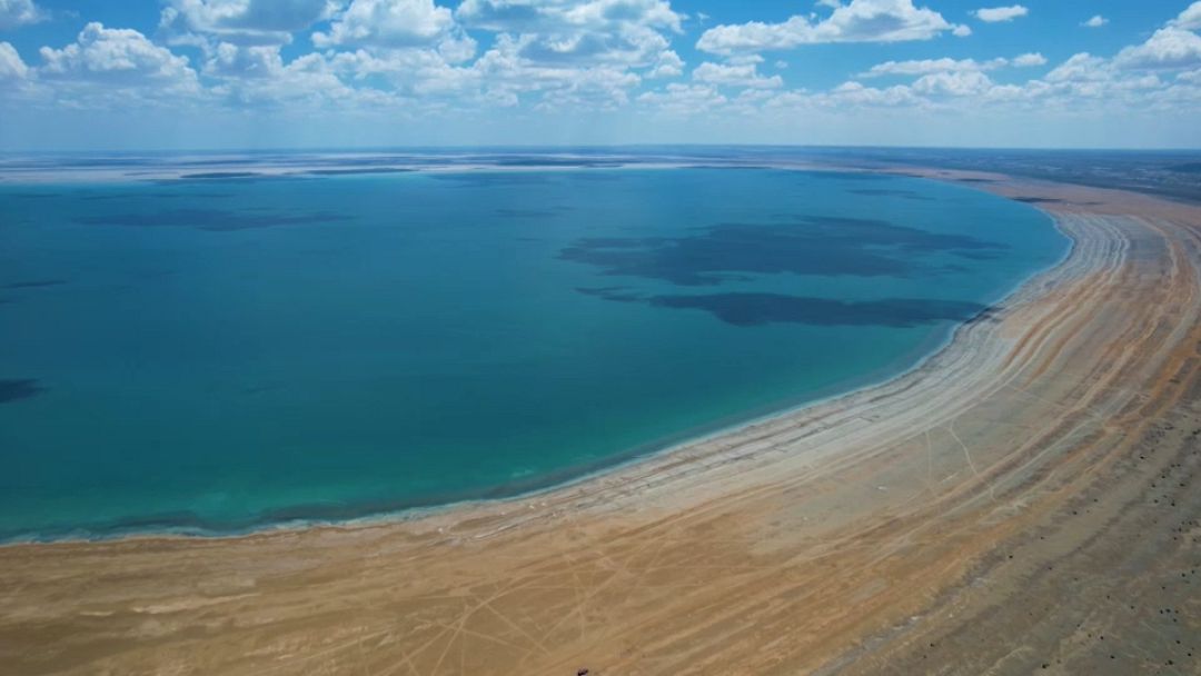 La apuesta por plantas y agua para restaurar el ecosistema y velar por ...