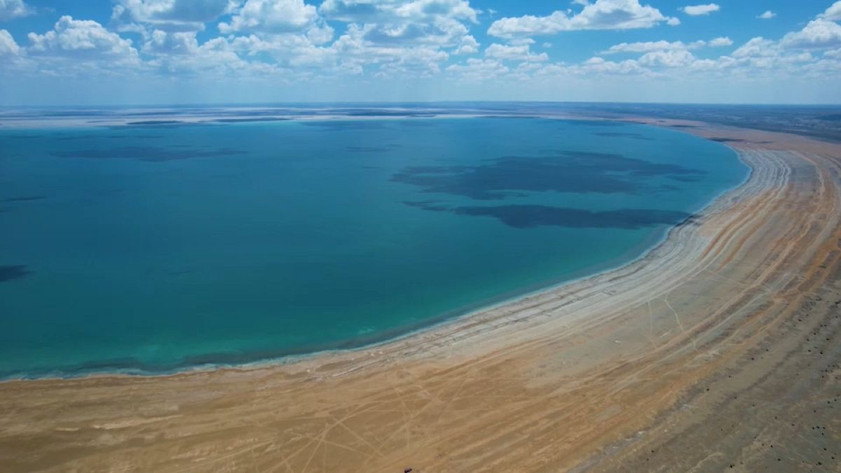 La apuesta por plantas y agua para restaurar el ecosistema y velar por ...
