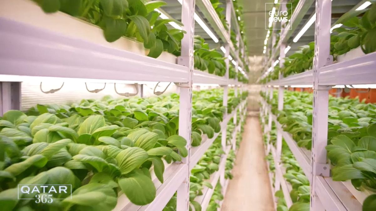 Dalle grandi industrie alle aziende a conduzione familiare: cresce il ...