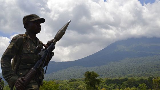 DRC: the soldier responsible for a family massacre sentenced to death ...