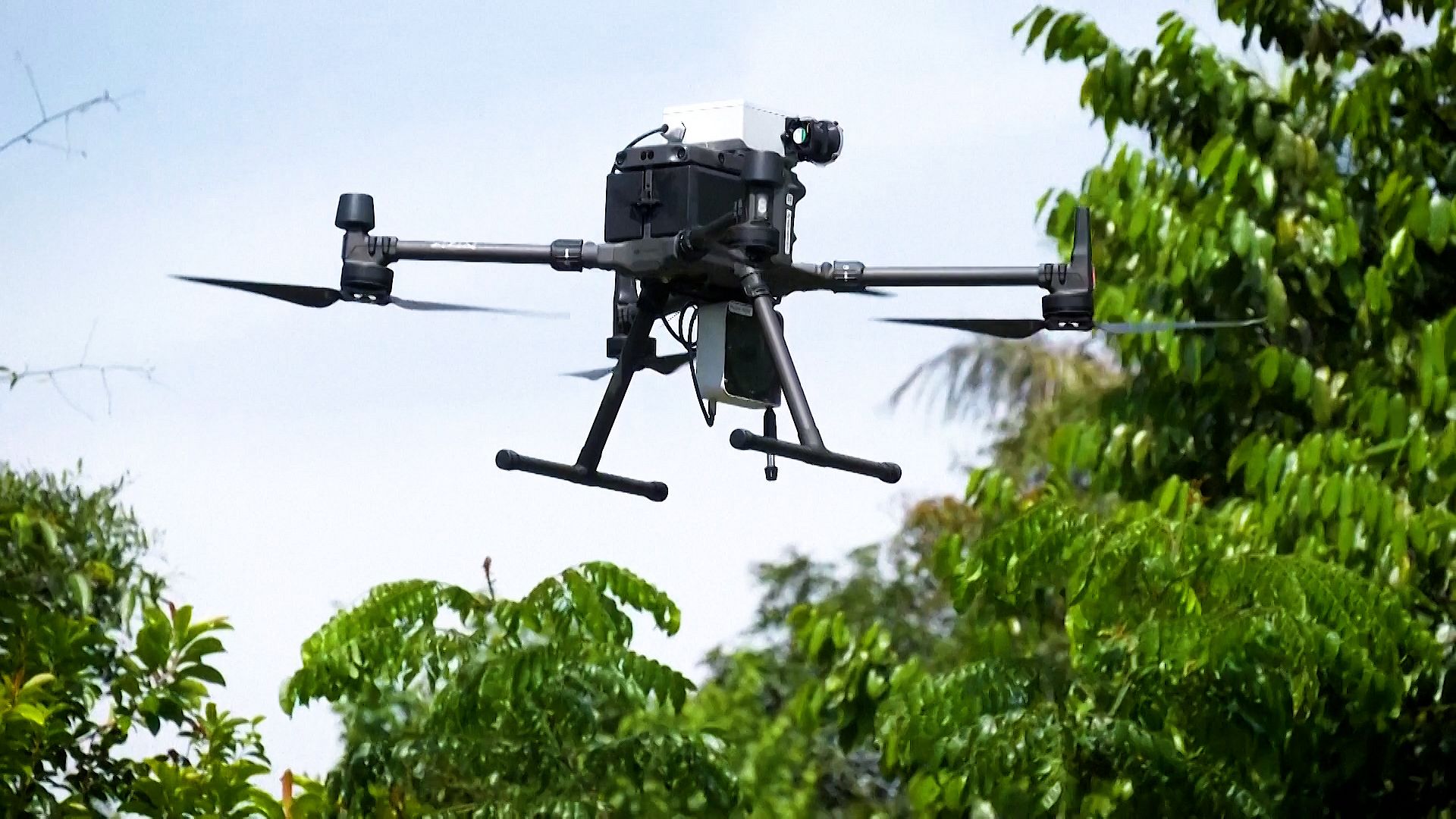 Researchers from Switzerland are using drones to monitor the health of ...