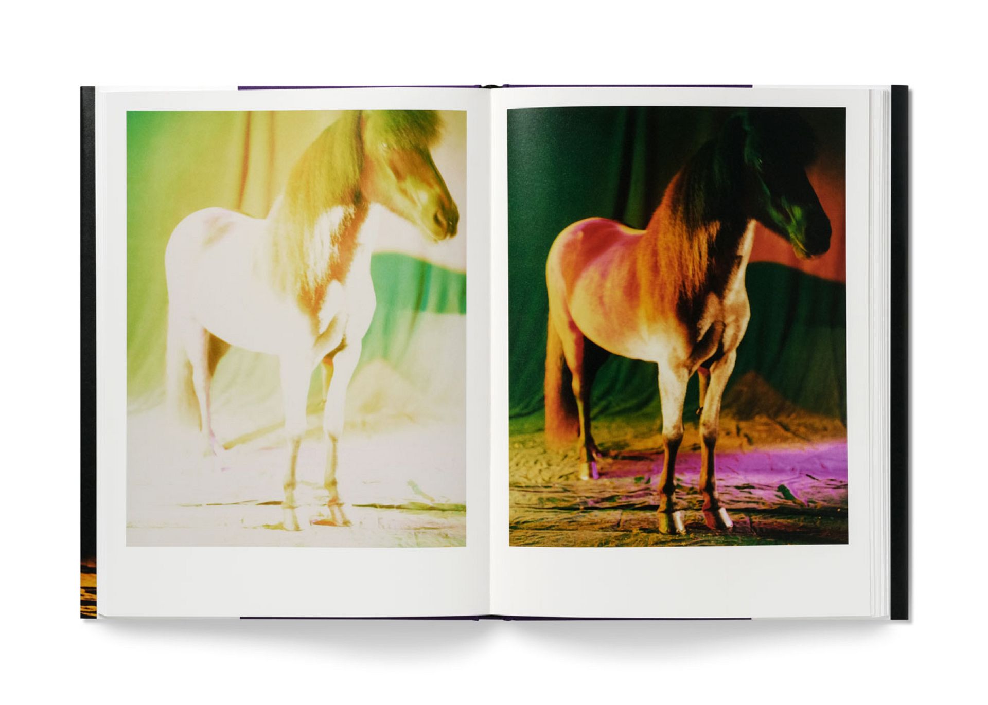 Take a look at Gareth McConnell's psychedelic and otherworldly images ...