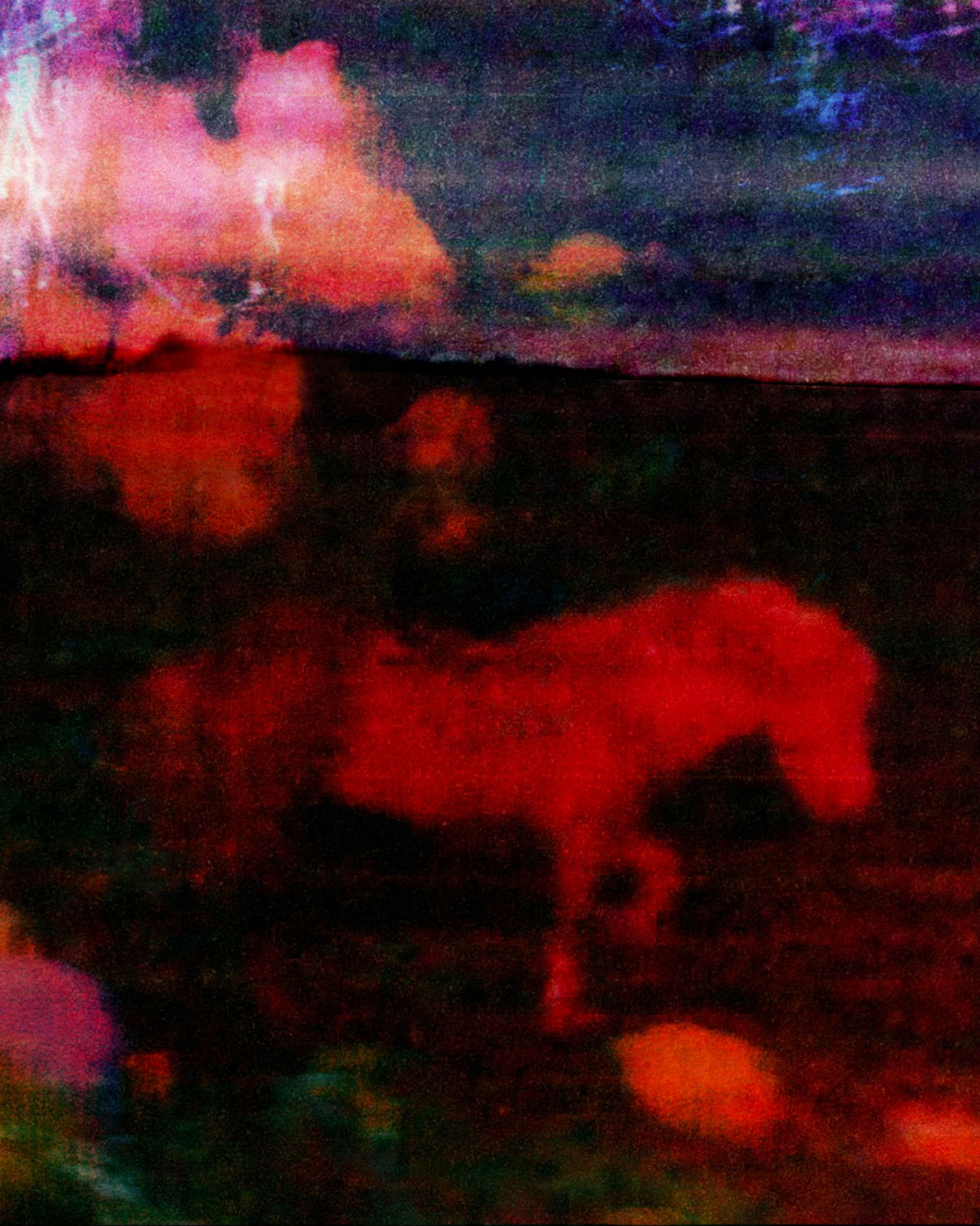 Take a look at Gareth McConnell's psychedelic and otherworldly images ...