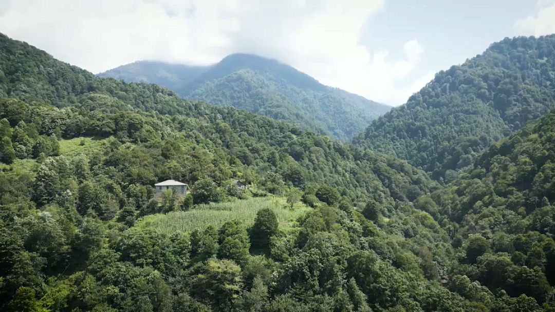 Discover Ajara: UNESCO-protected forests, legendary Georgian ...