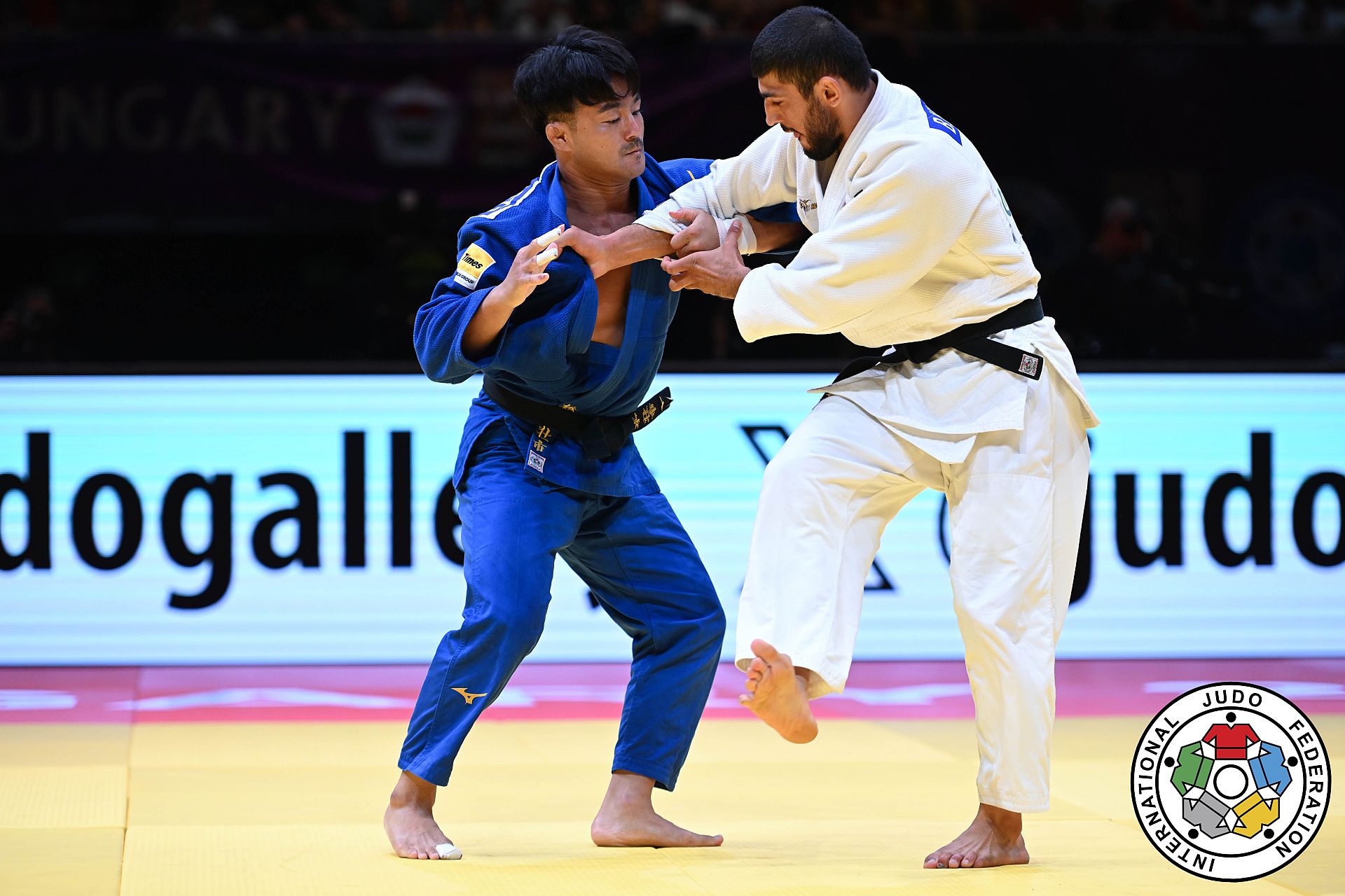 Mundial de Judo Hungría 2023: Europa domina en la segunda jornada del ...