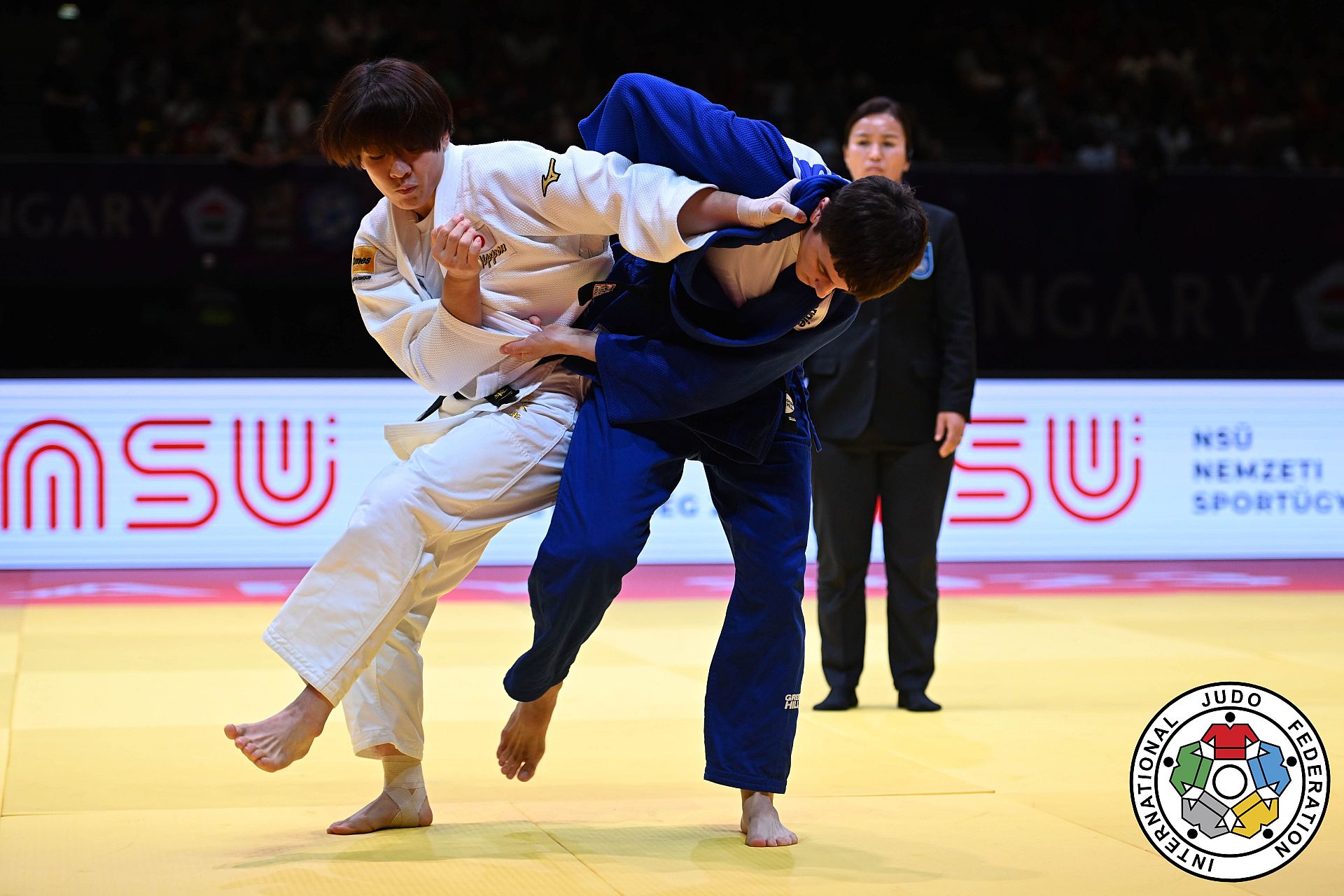 Mundial de Judo Hungría 2023: Europa domina en la segunda jornada del Masters de judo | Euronews