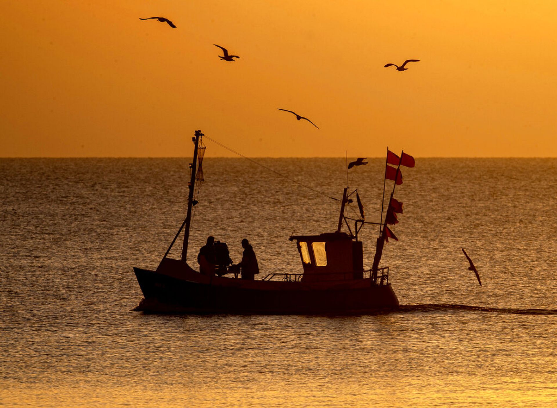 To tackle the climate impacts of fishing, Europe must dive much deeper ...