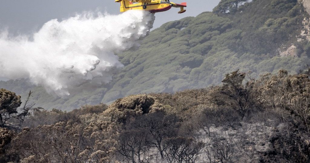 Maroc : des feux de forêt dans la périphérie de Tanger | Africanews
