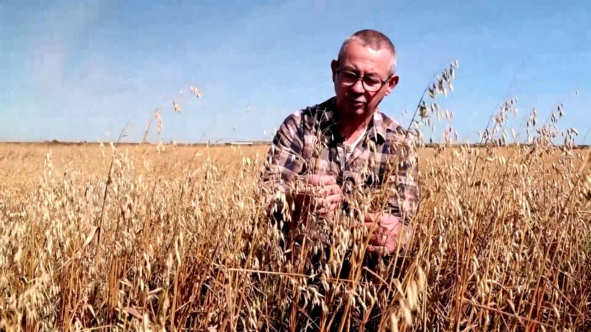 ‘Completely out of whack’: Winter storms in August have destroyed half ...