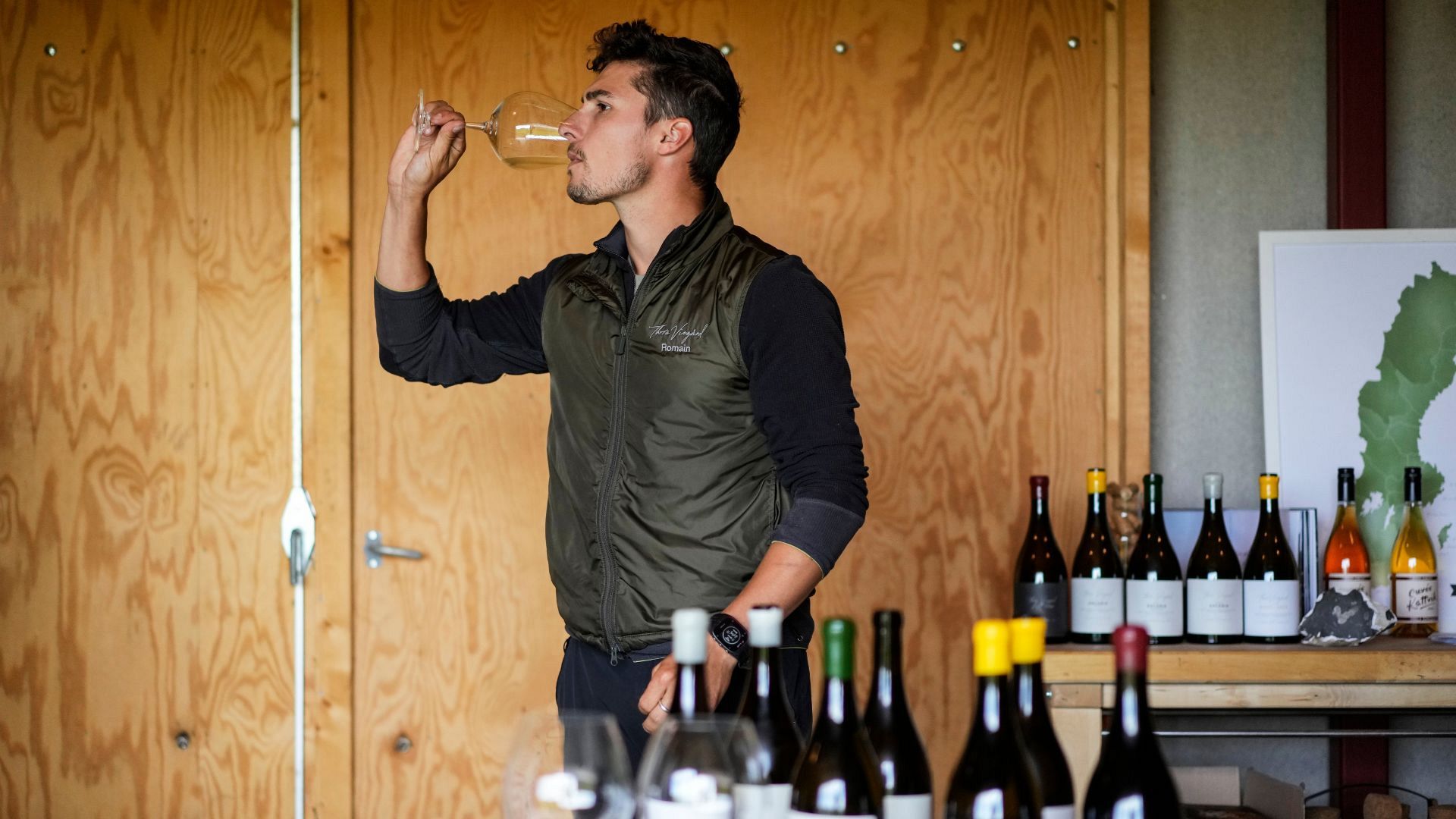 Swedish wine: How global warming is shifting Europe's vineyards ...