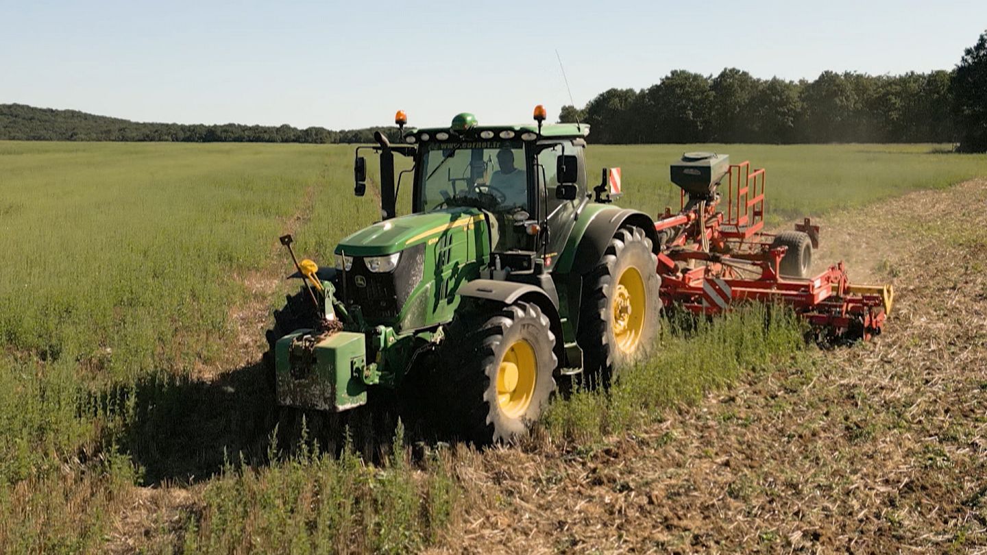 Extensive Farming In Europe