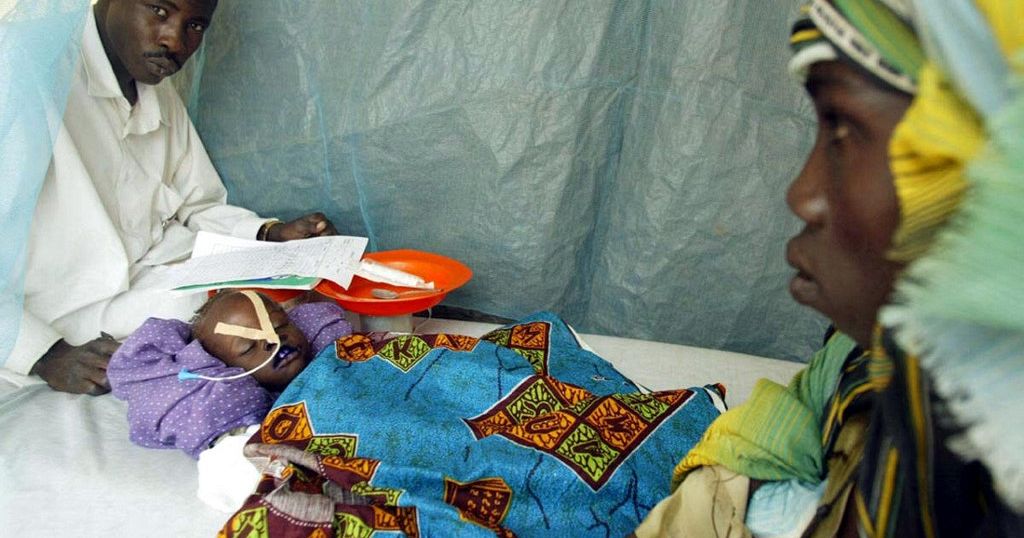 Chad: field hospital saves lives of Sudanese refugees | Africanews