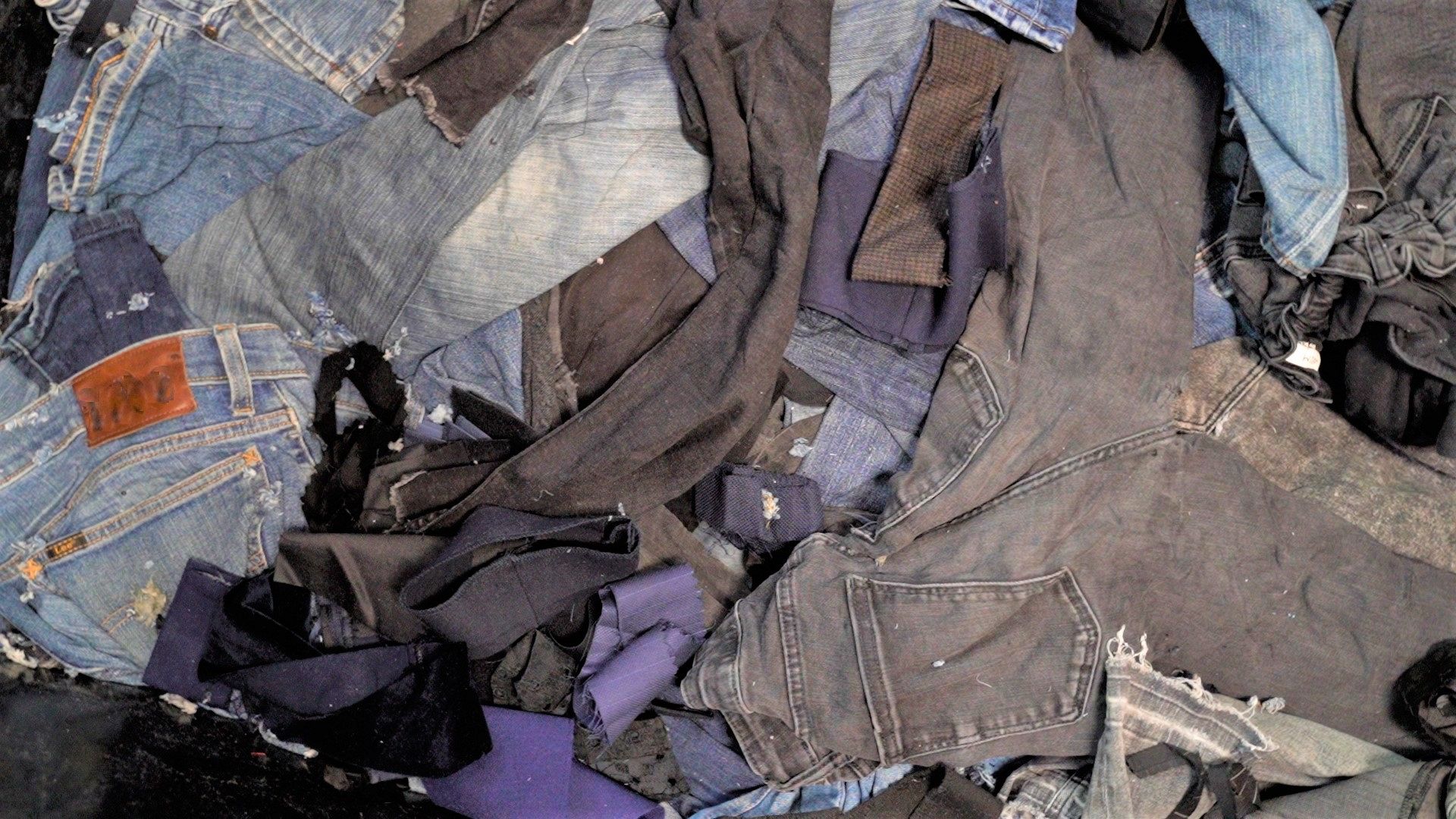 Meet the French eco-chic architect crafting fashionable bricks | Euronews