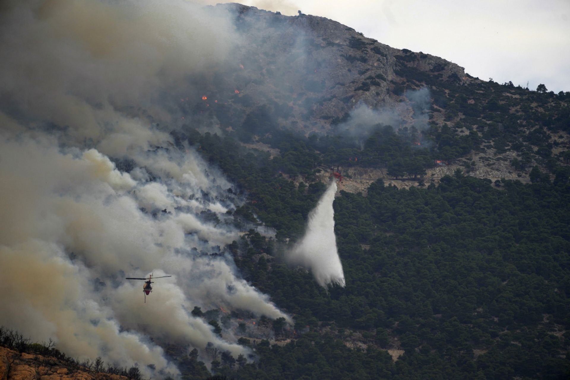Wildfire in northeastern Greece is the biggest the EU has ever recorded ...