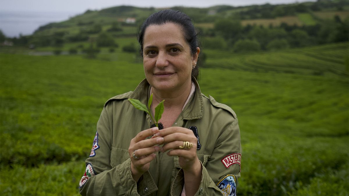 China's gift to the world: the perfect cup of tea | Euronews