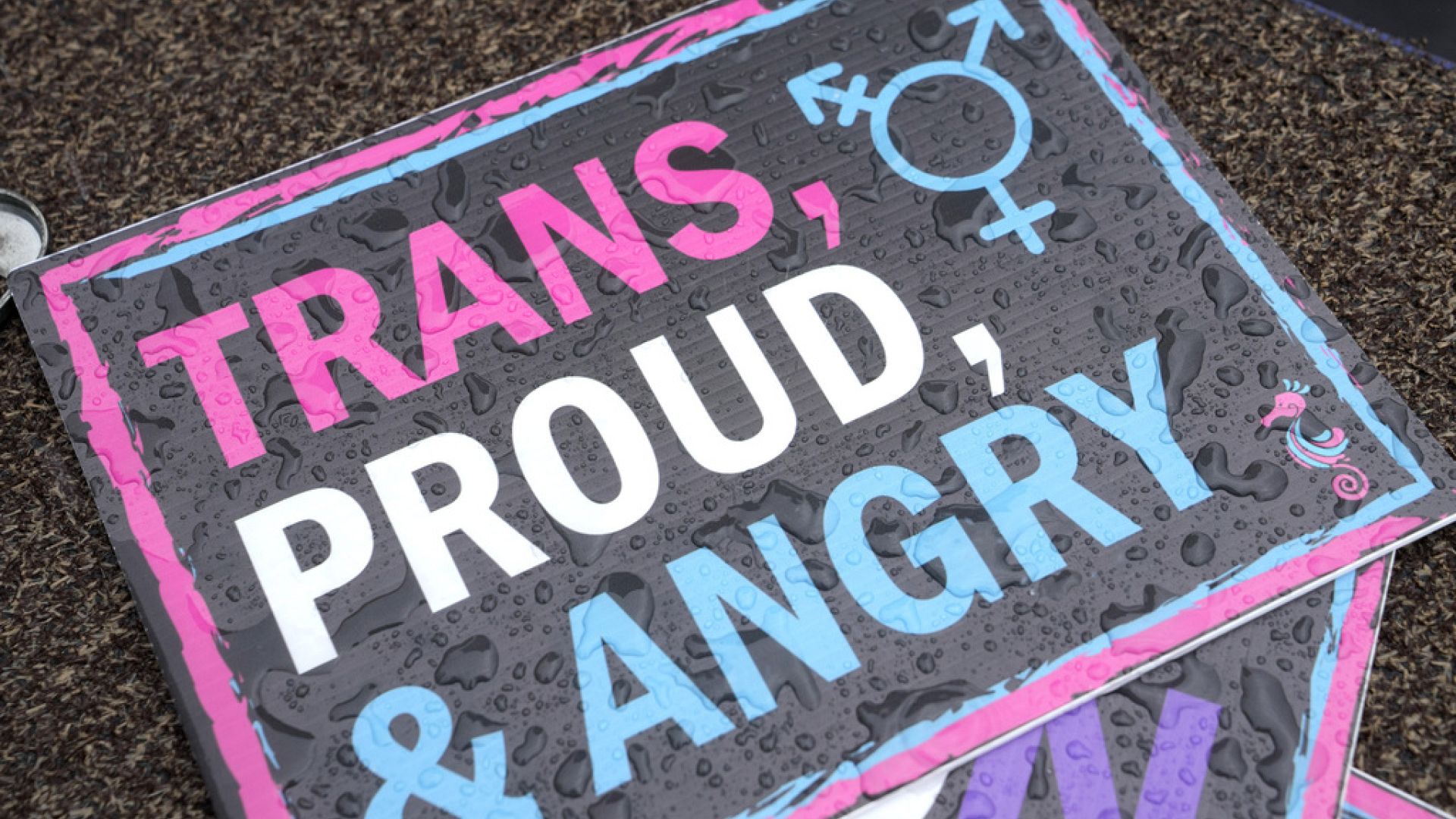 Misgendering and deadnaming: Will this soon become illegal in Germany? | Euronews