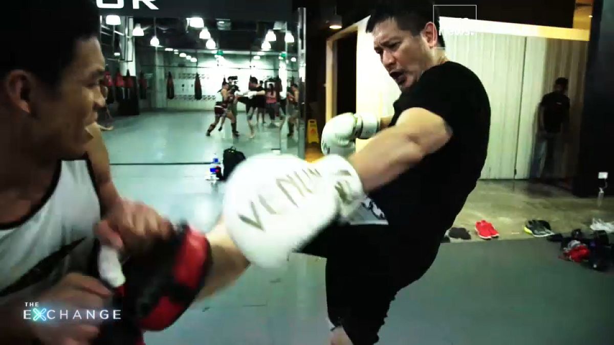 The business of combat sports is booming - here's what you need to know ...