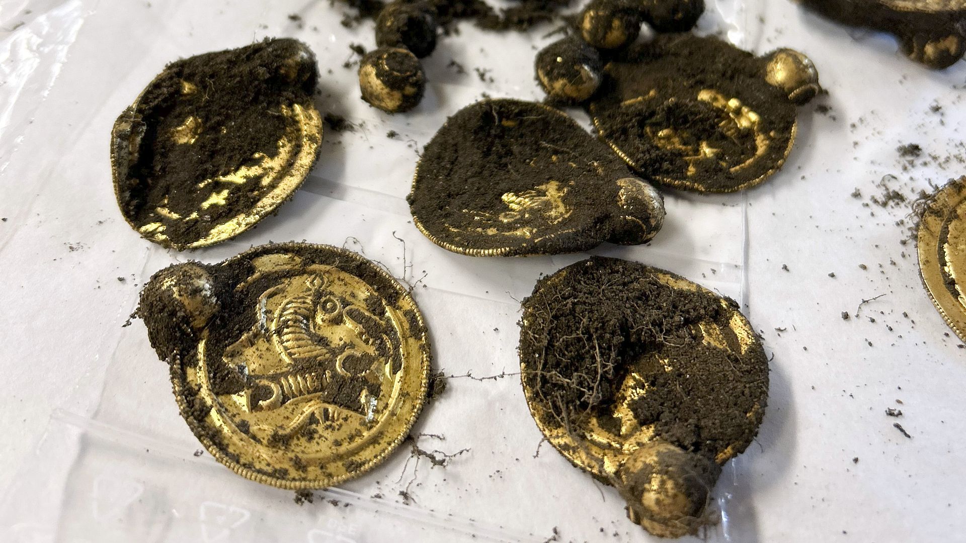 Norveçli amatör define avcısı metal dedektörü ile 1500 yıllık altın ...