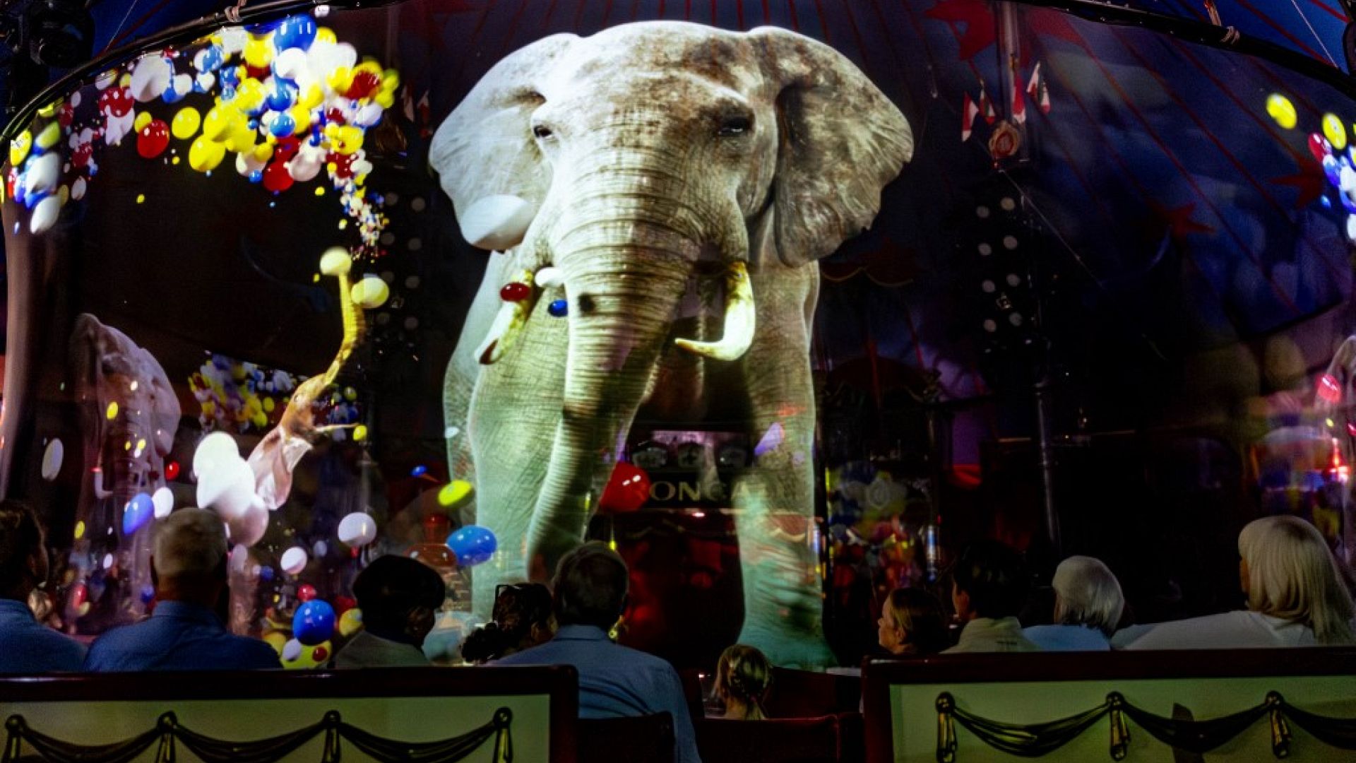 Lions, elephants and bears: Holograms replace live animals in this ...