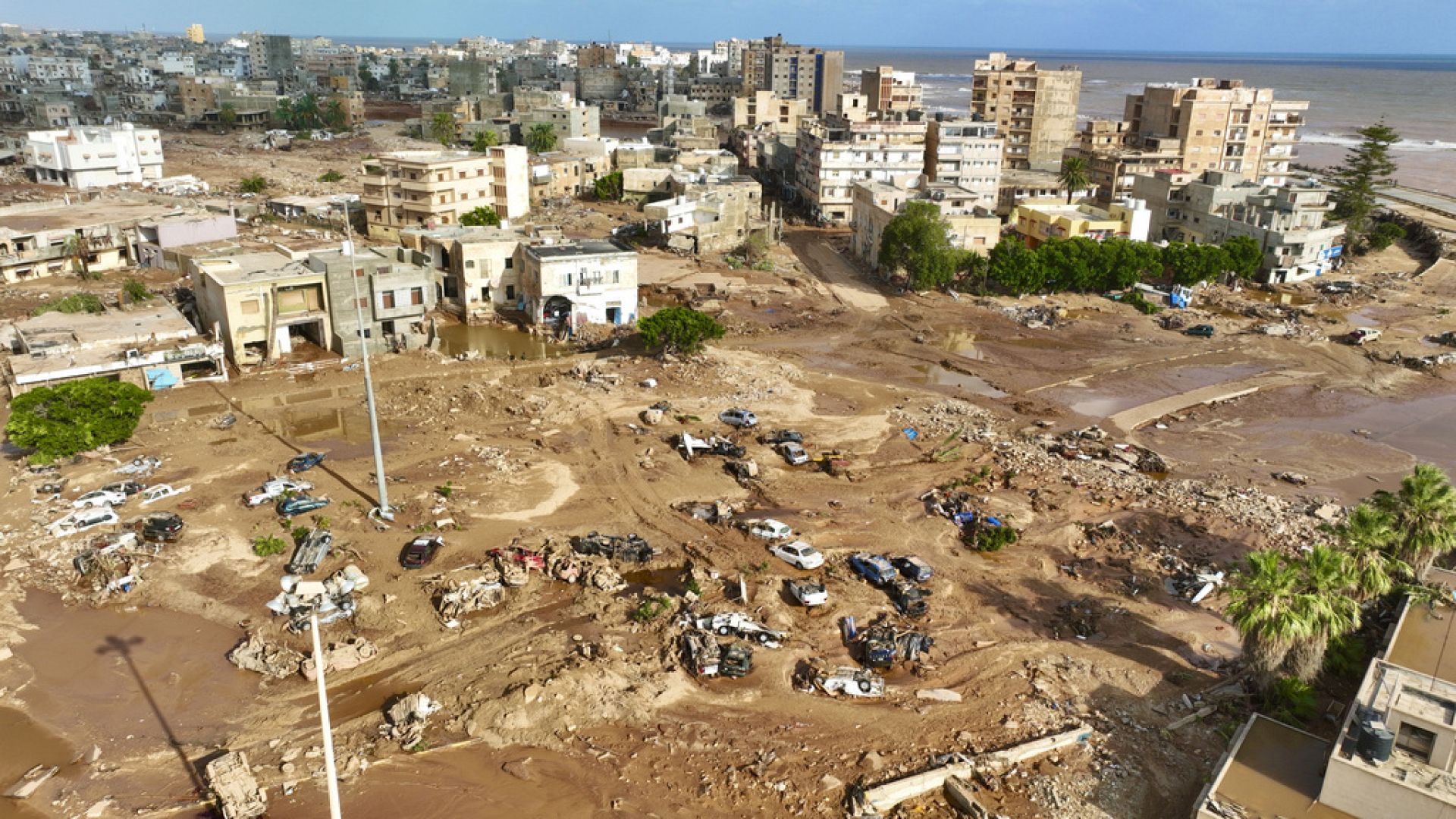 Thousands missing or feared dead in flood-ravaged eastern Libya | Euronews