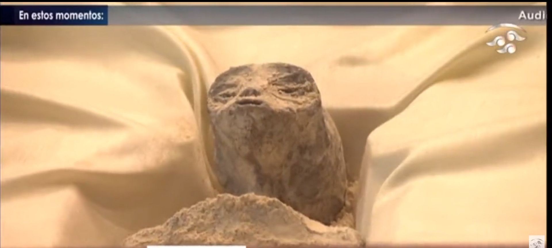 1,000-year-old fossils of 'alien' corpses displayed in Mexico's ...