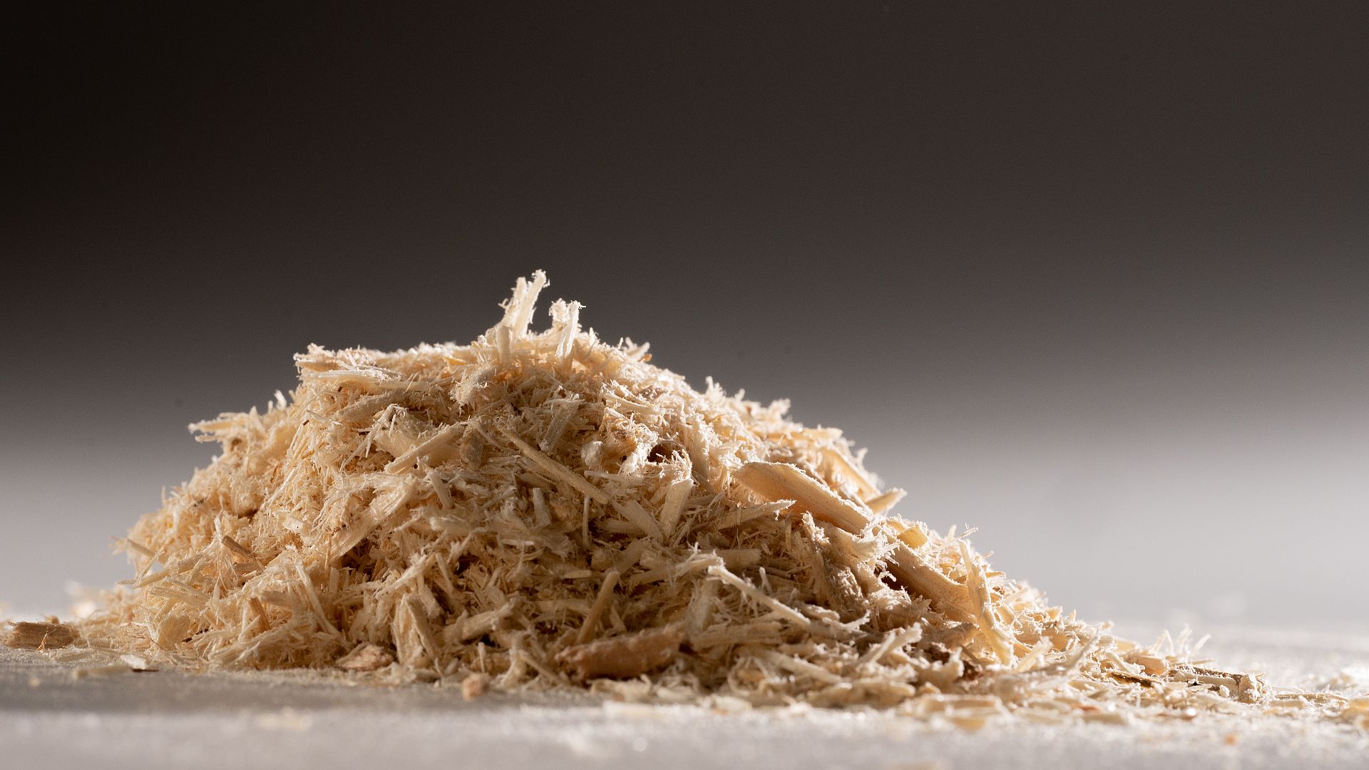 Sawdust for starters: Could turning industrial waste into meat ...