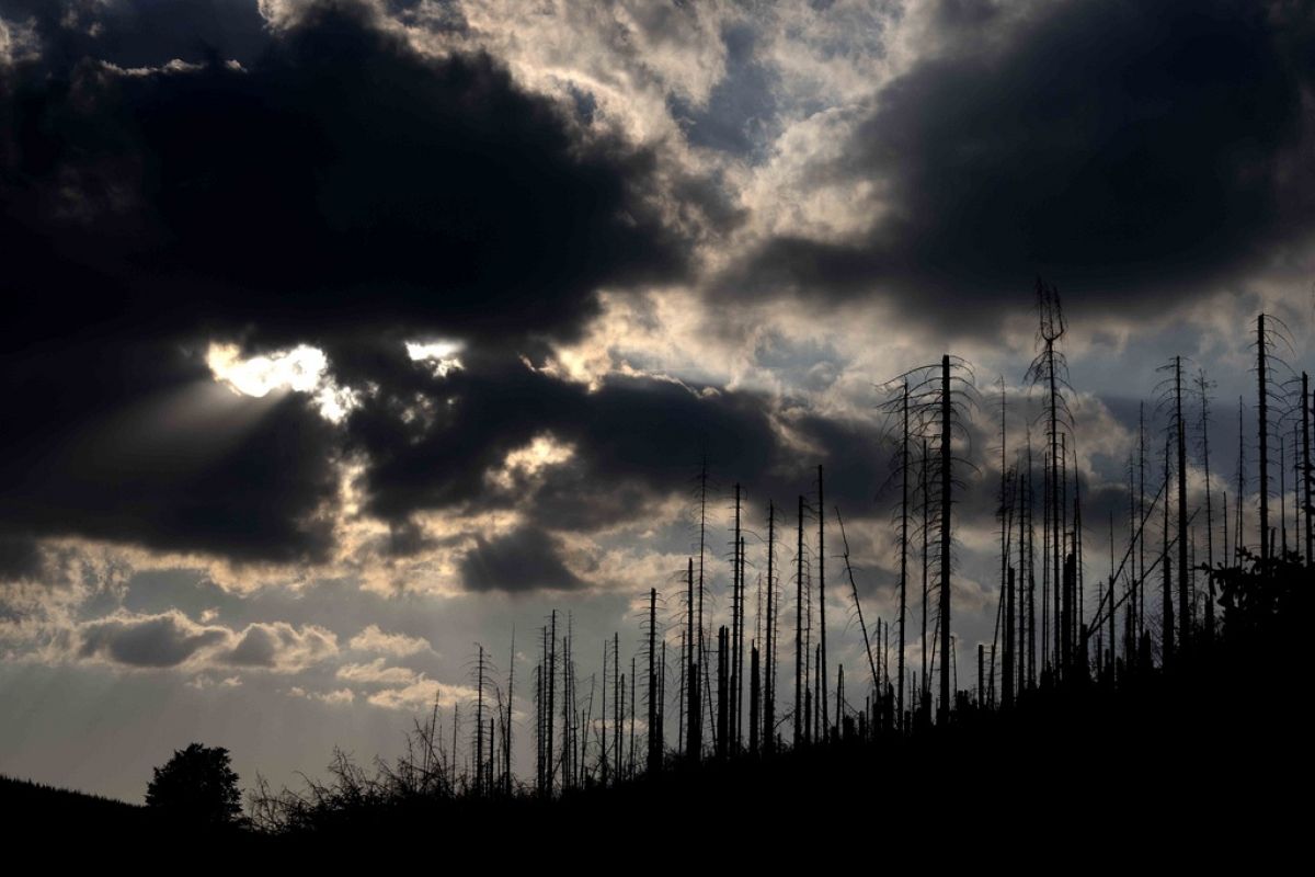 ‘The patient is sick’: Human activity is putting Earth’s life support ...