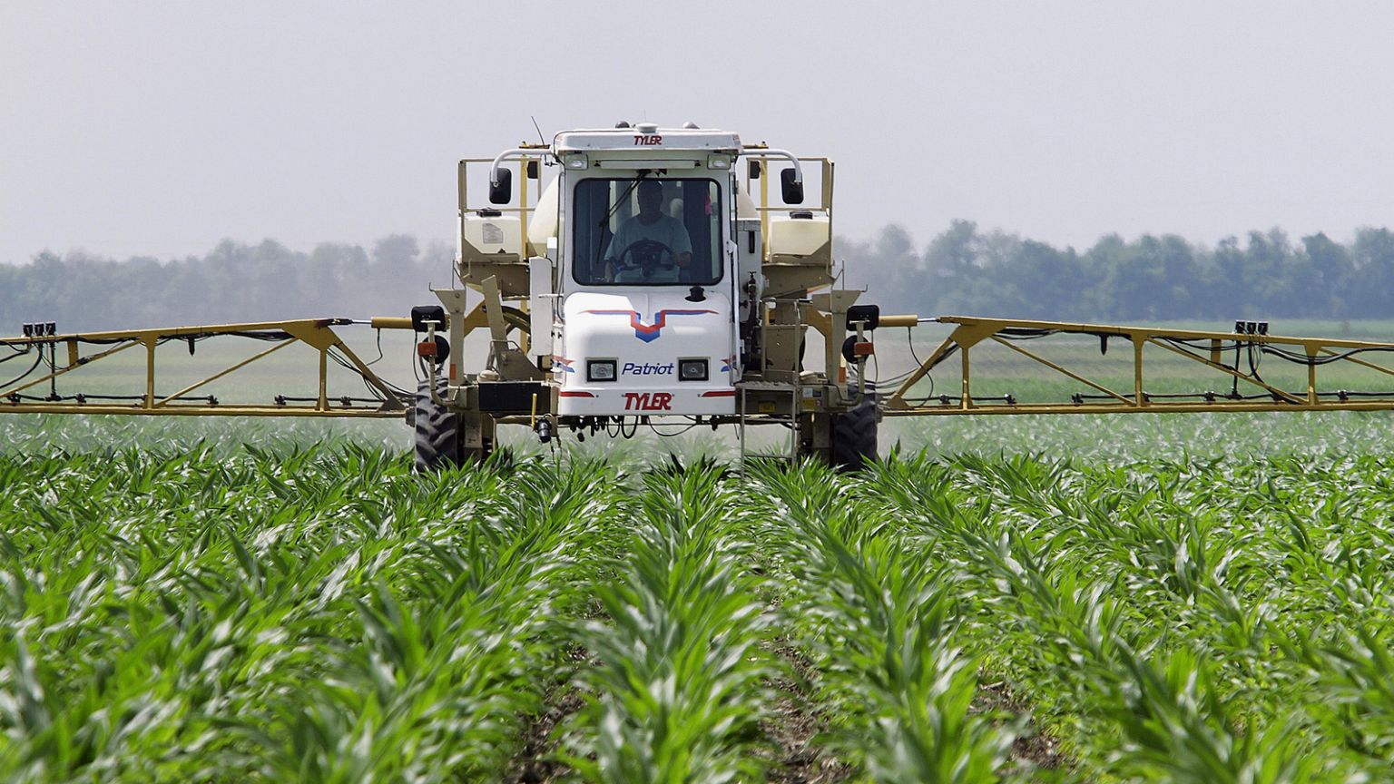 Brussels backs 10-year extension for EU glyphosate use | Euronews
