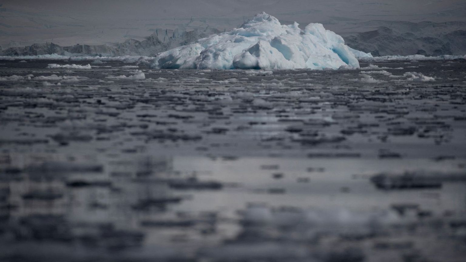 ‘An extreme record-breaking year’: Scientists see impact of climate ...