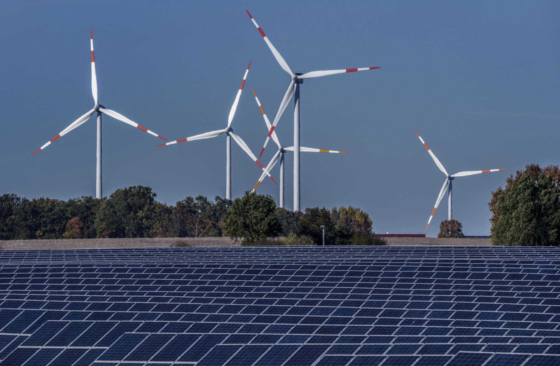 More than 30% of world’s electricity now comes from renewables, report ...