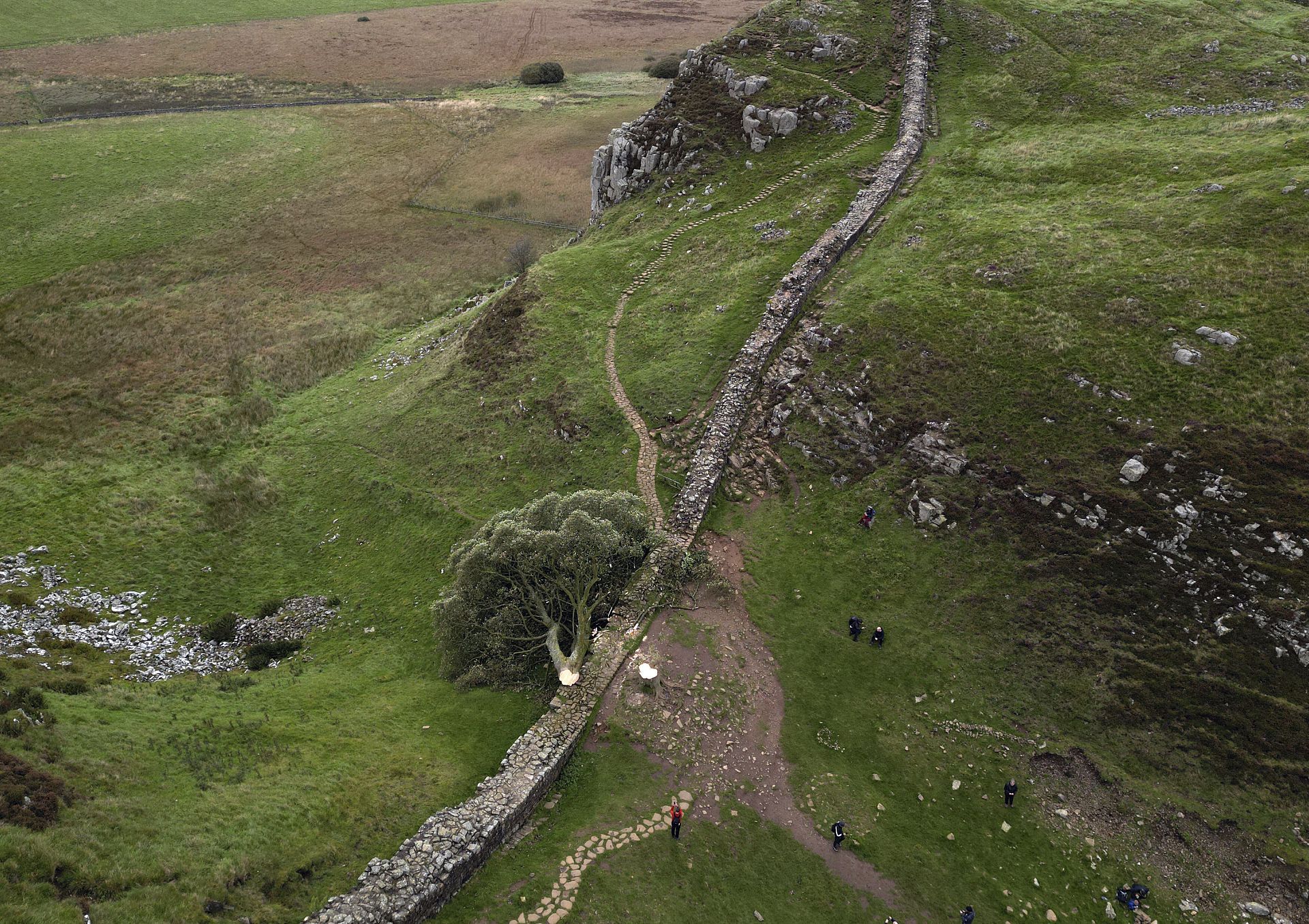 Sycamore Gap: Teenager arrested in England over ‘deliberate’ felling of ...