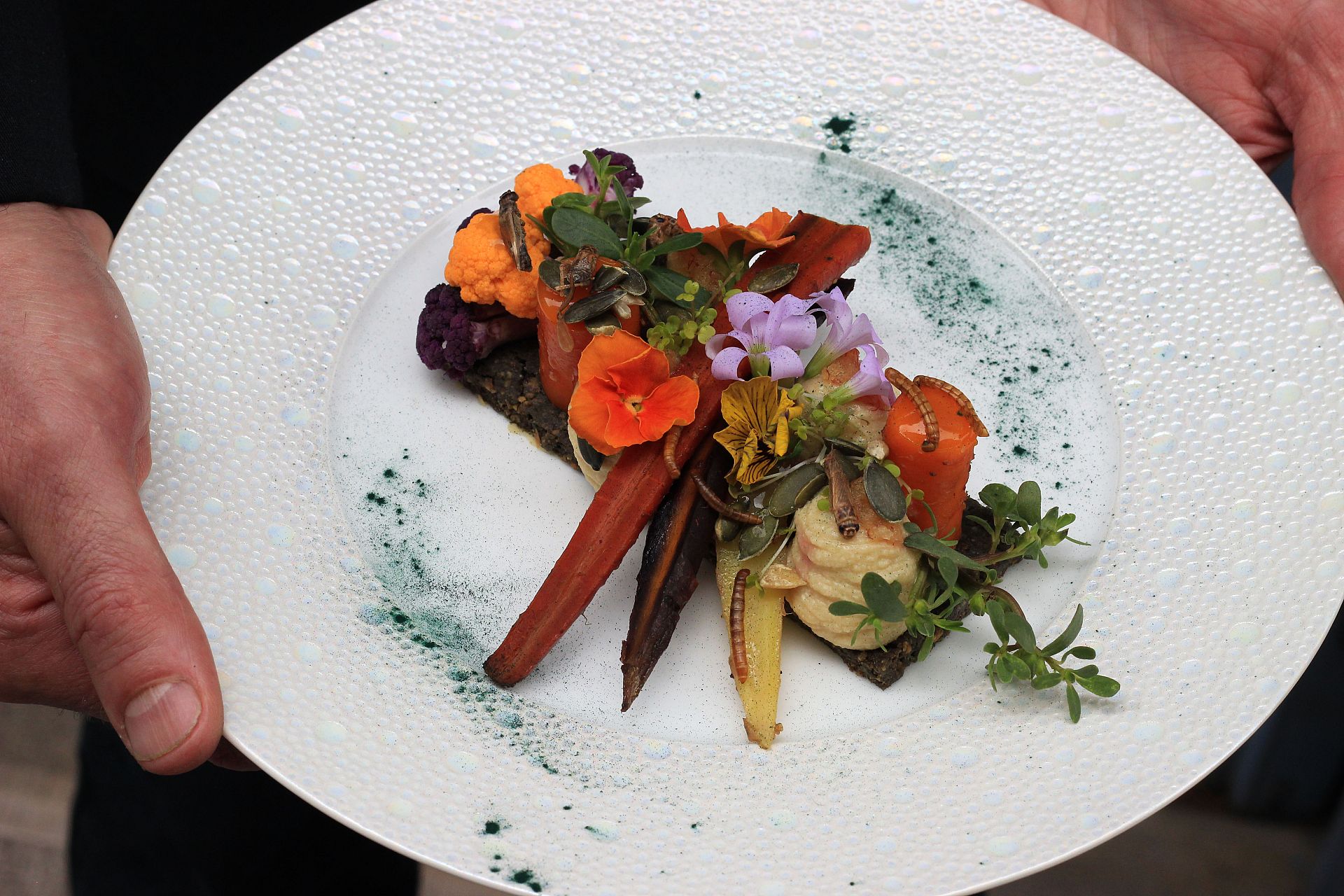 Star Ingredient Podcast | Are edible insects the food of the future ...