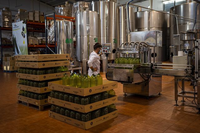 Spain hit hard by rising price of olive oil as climate change takes its ...