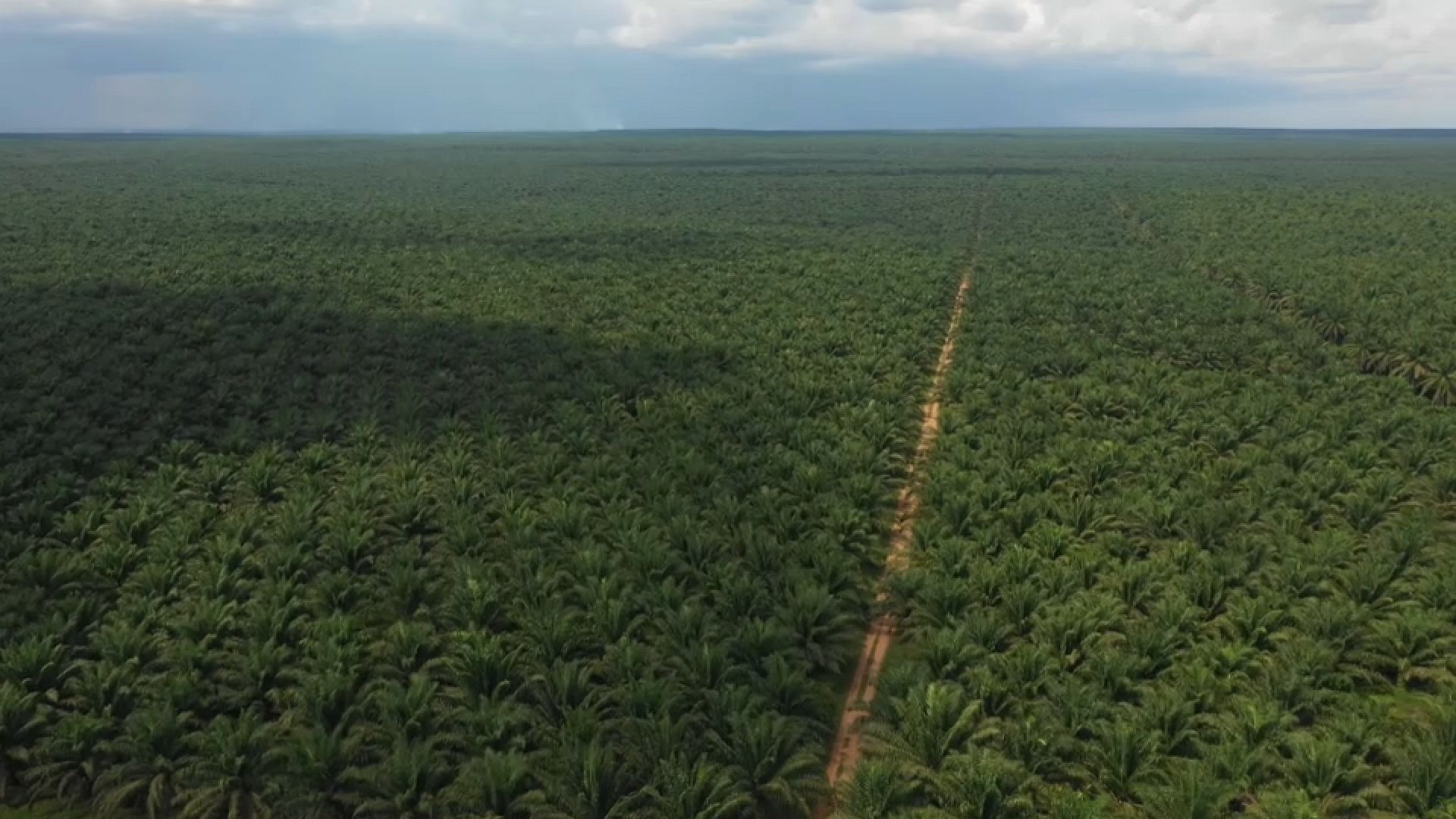 La República Democrática del Congo quiere explotar el potencial de su ...