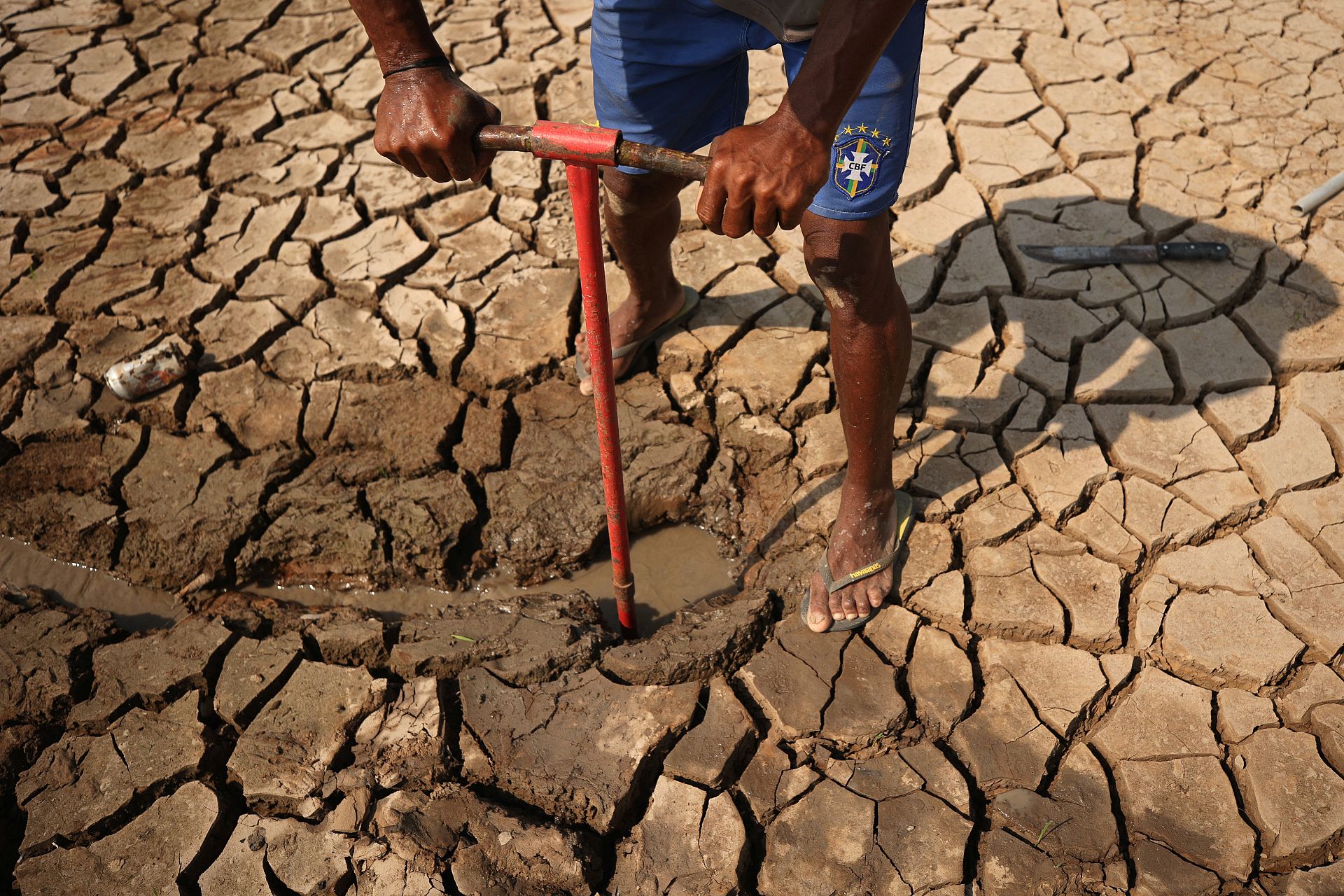 What is El Niño doing to the Amazon? Brazilians struggle to make a ...