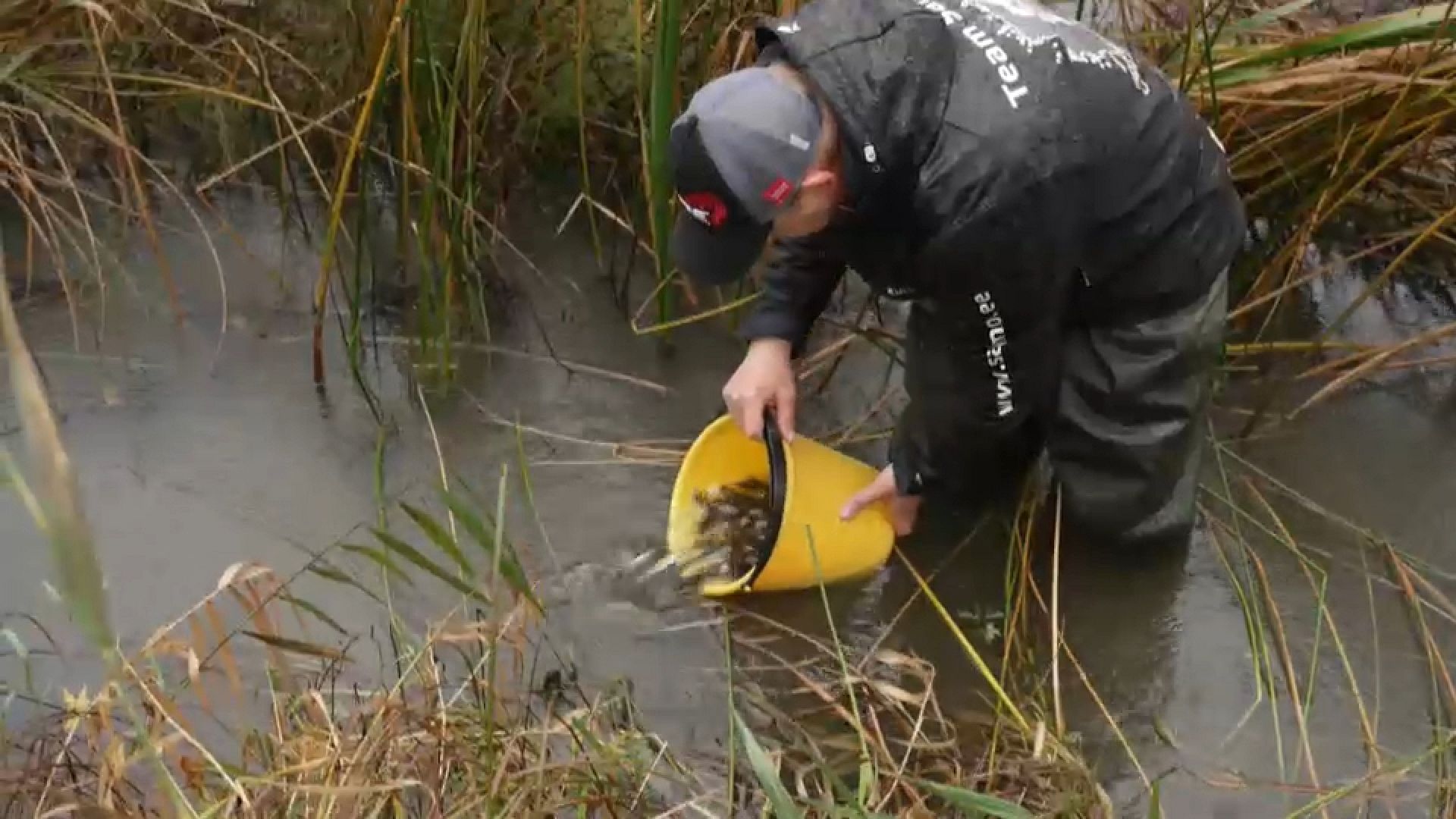 Restoring European rivers: a win-win scenario for humans and nature ...