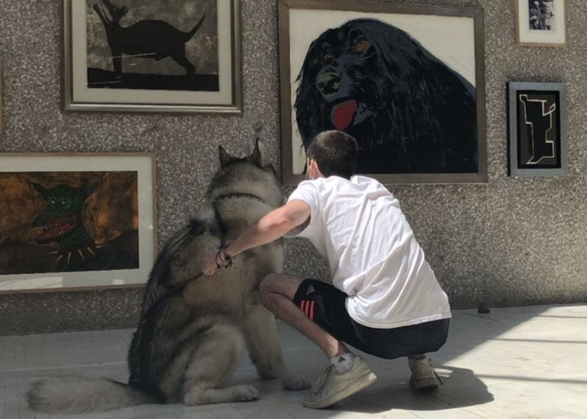 Art for dogs? Mexico museum welcomes pets to new exhibition | Euronews